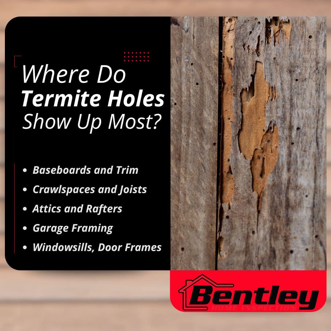 How Inspectors Spot Termite Holes During an Inspection - Bentley Home ...